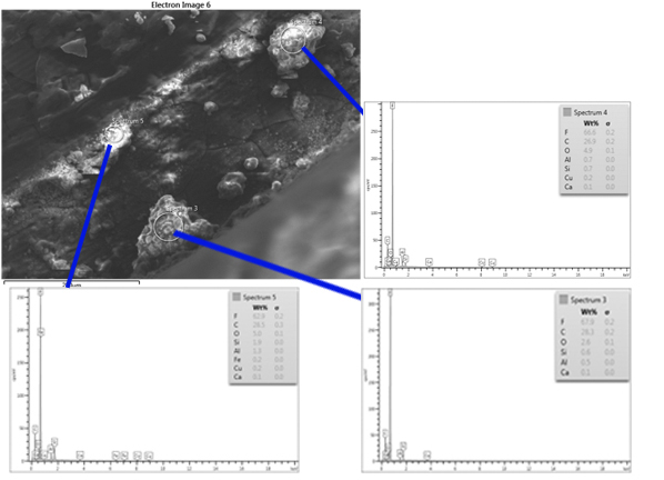 Scanning Electron Microscope